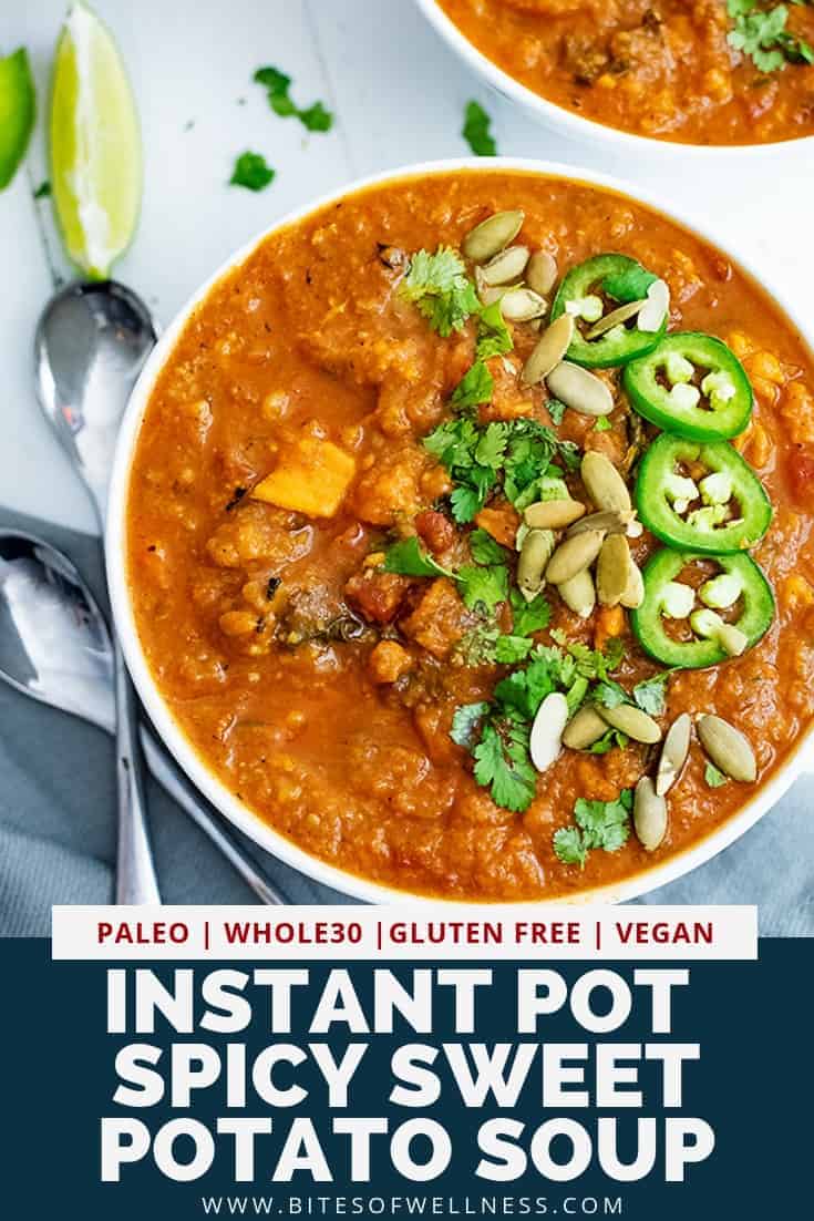 Spicy Sweet Potato Soup - Bites of Wellness