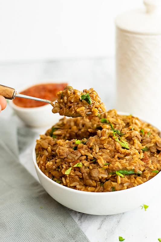 Vegan Mexican Rice and Lentils - Bites of Wellness