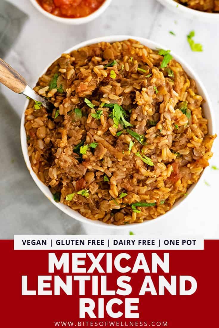 The Best Mexican Lentils and Rice- Easy Budget Friendly Meal