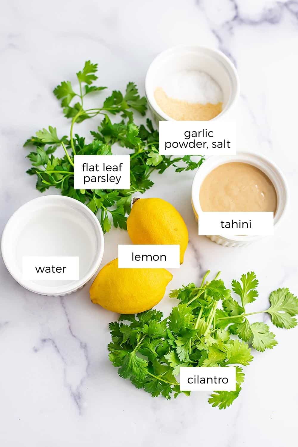 Lemon Herb Tahini - Quick, Easy, 5 Minutes | Bites of Wellness